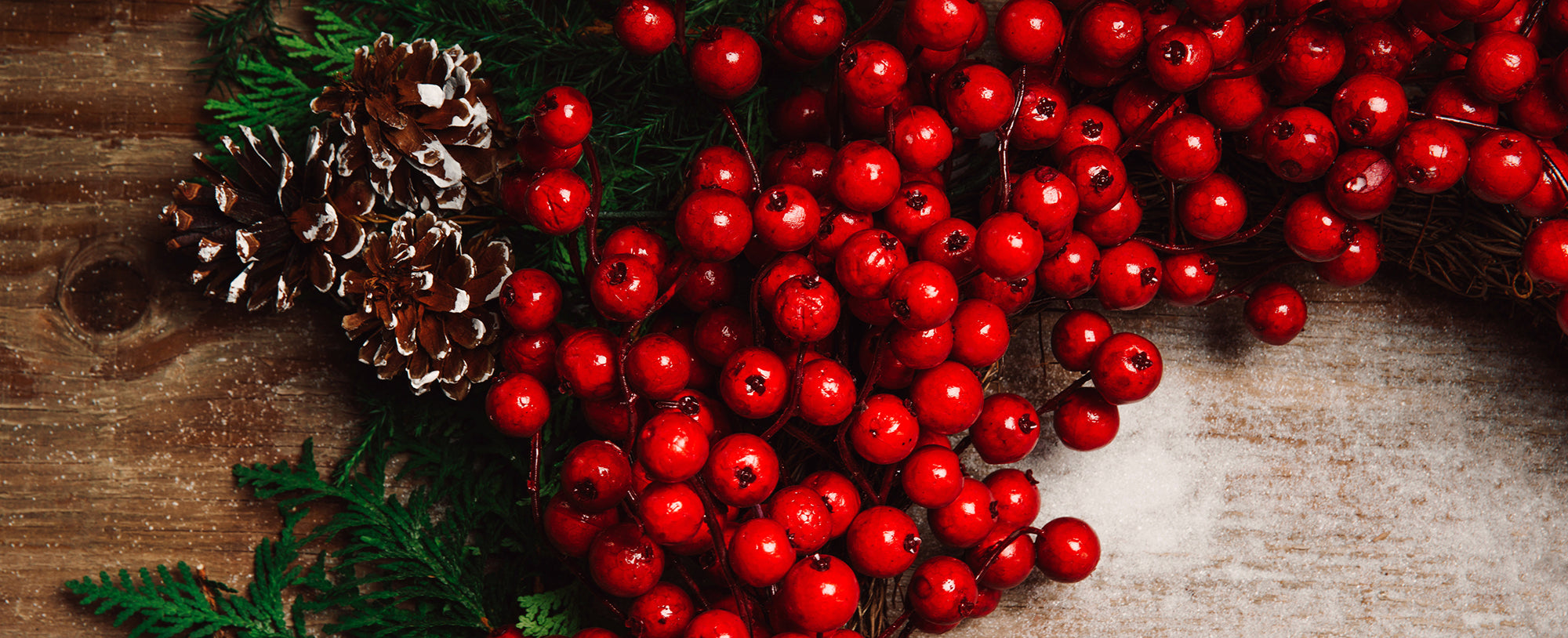 Christmas Splendor – Magnolia Scents by Design